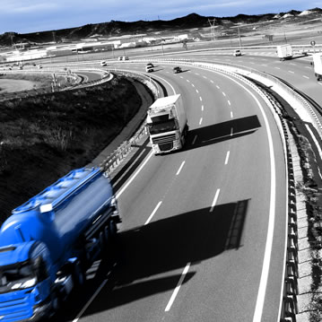 About Us – Rhinoil